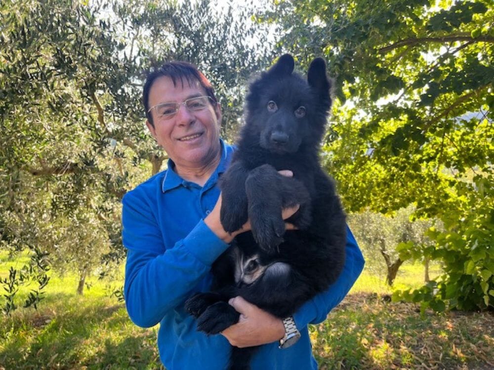 Cucciolo Pastore Tedesco Pelo lungo Nero Allevamento del Monte Poliziano